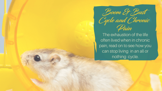 Boom Bust Cycle and Chronic Pain - Restoring Venus